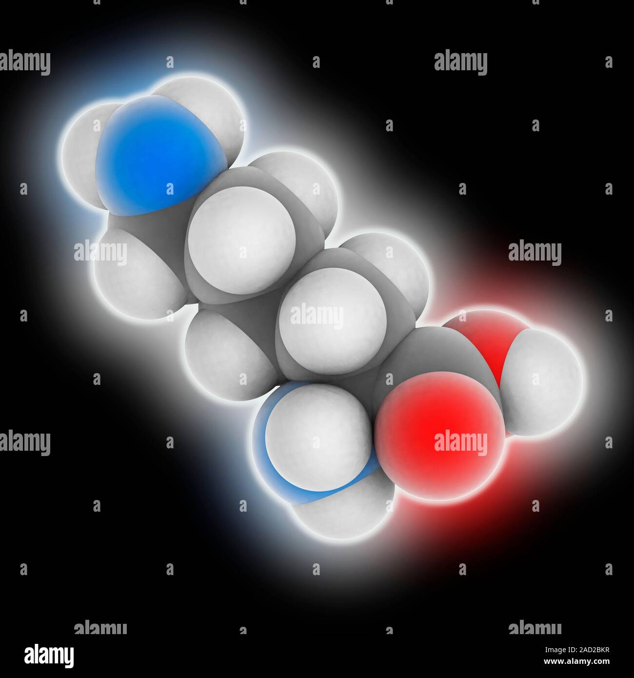Lysine. Molecular model of the essential alpha-amino acid lysine (C6 ...