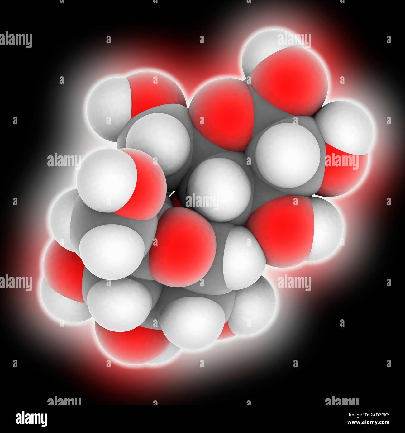 Maltose. Molecular model of the disaccharide sugar maltose (C12.H22.O11 ...