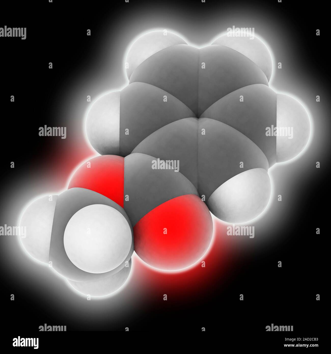 Methyl benzoate. Molecular model of the organic compound methyl ...