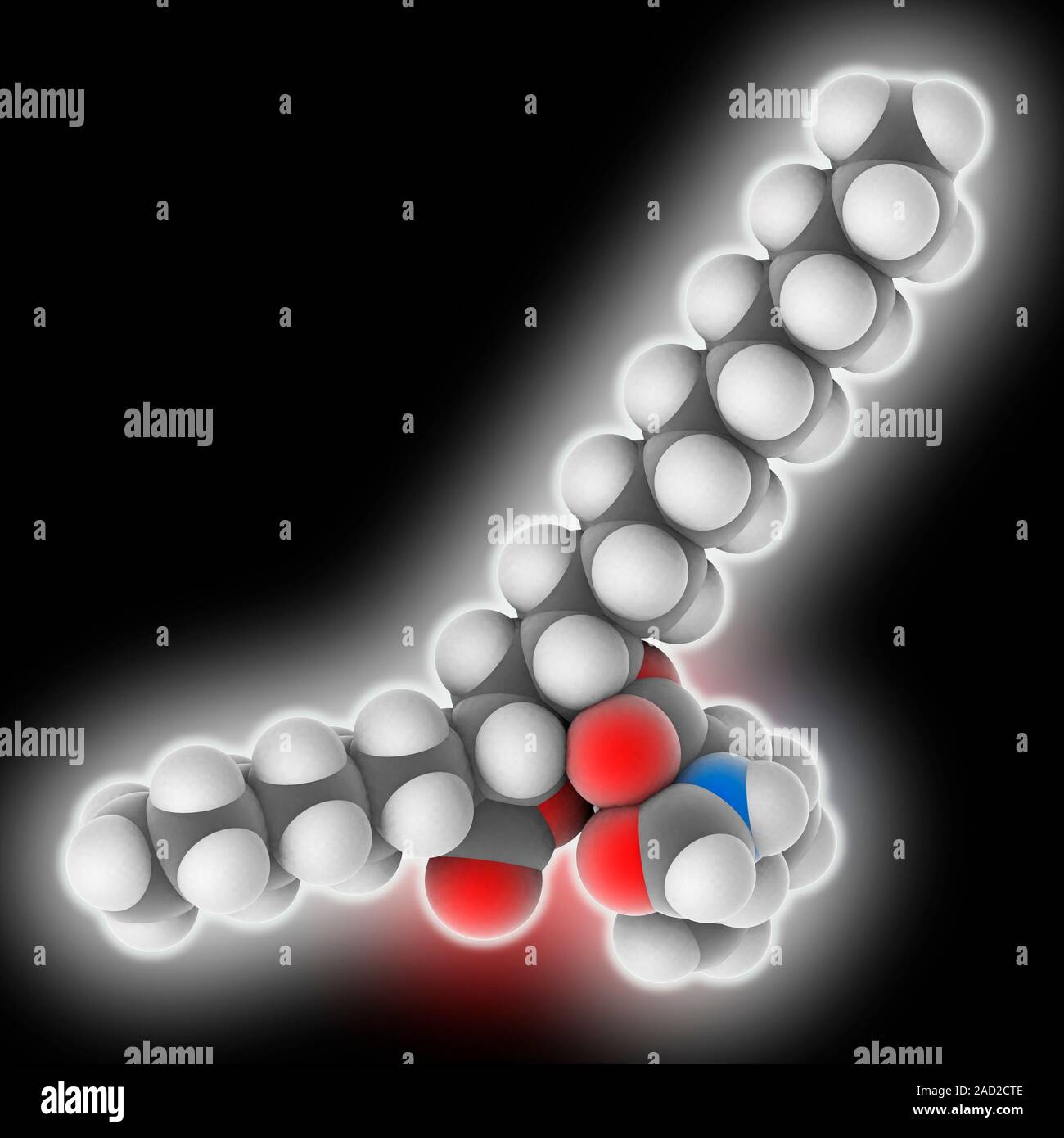 Orlistat. Molecular model of the drug orlistat (C29.H53.N.O5), also ...