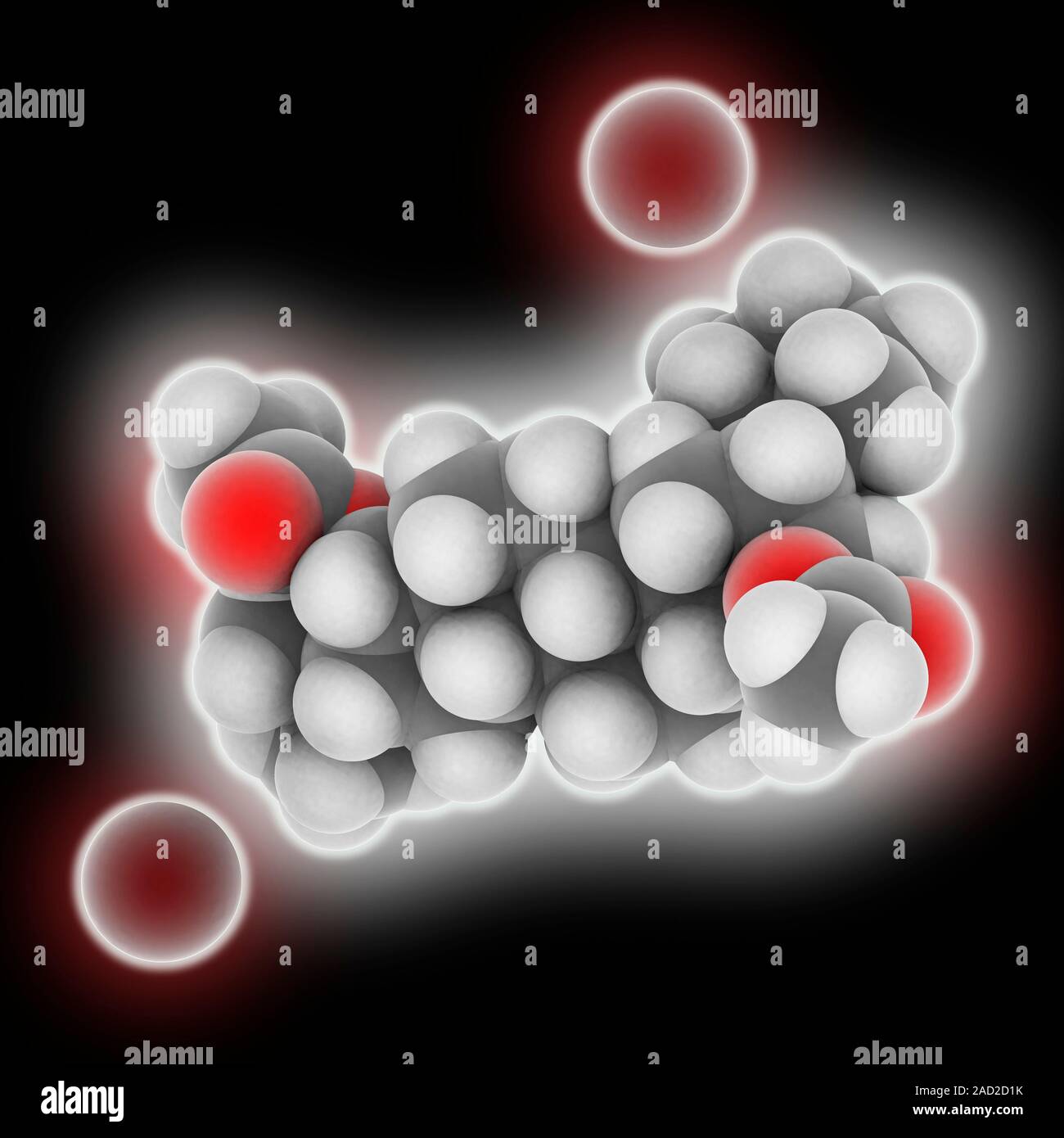 Pancuronium bromide. Molecular model of the muscle relaxant drug ...