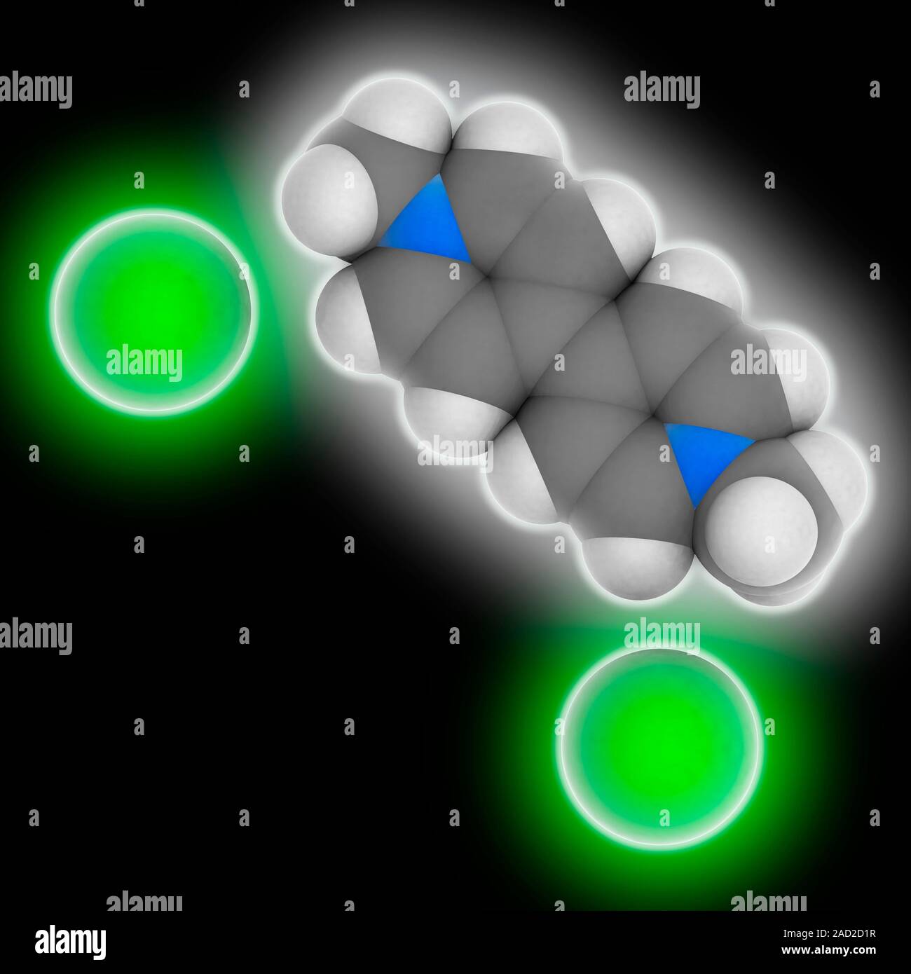 Paraquat. Molecular model of the herbicide paraquat (C12.H14.Cl2.N2), a ...