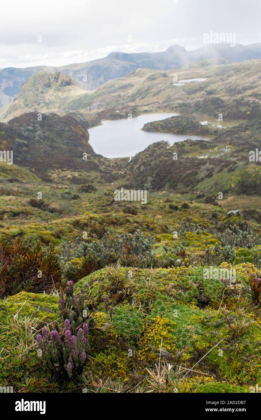 Andes mountains. View over the rocky crest of the Andes, with the ...