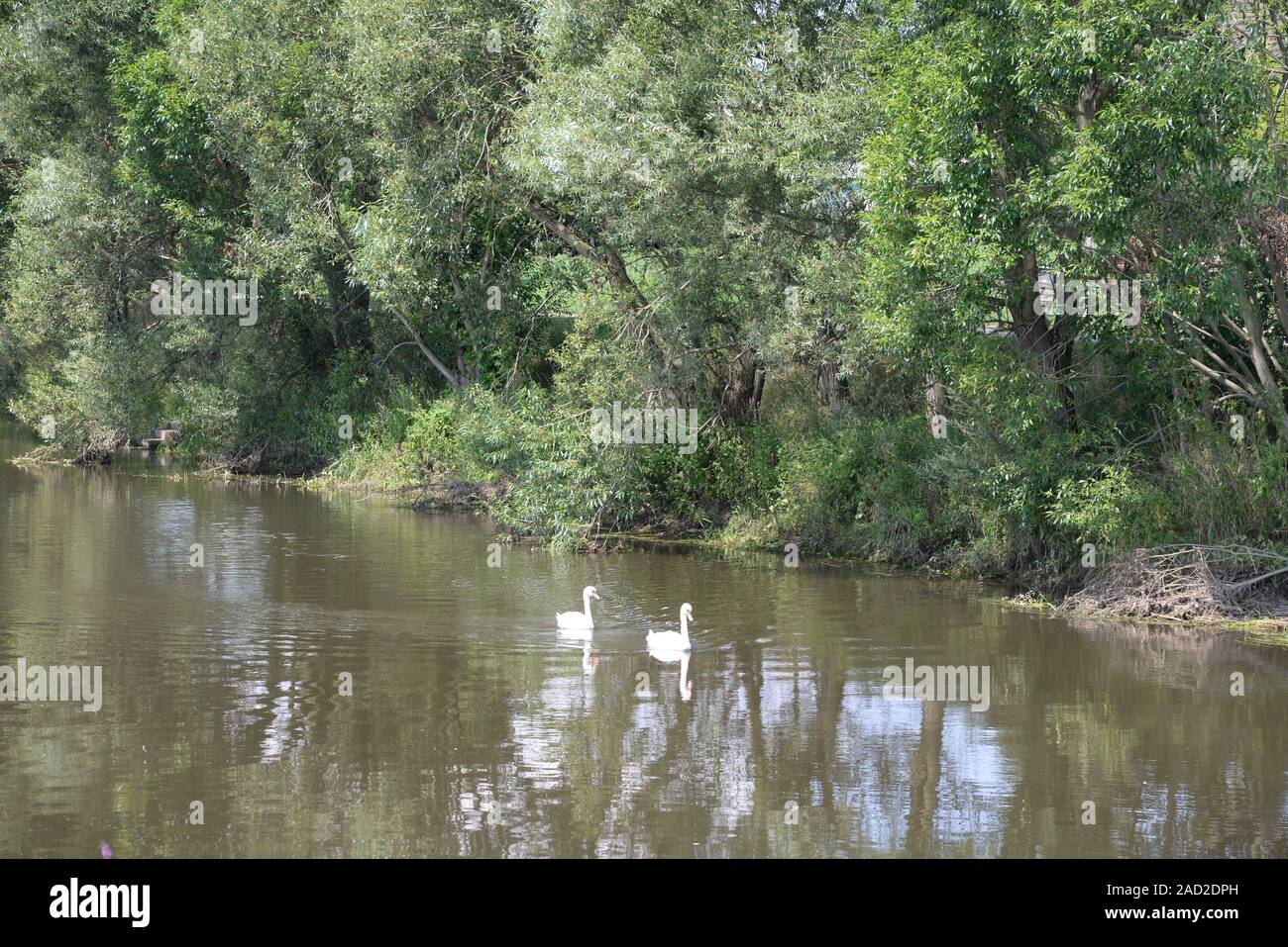 Nidda hi-res stock photography and images - Alamy