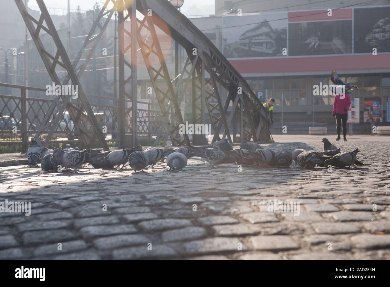 sporty woman jogging on morning Stock Photo - Alamy
