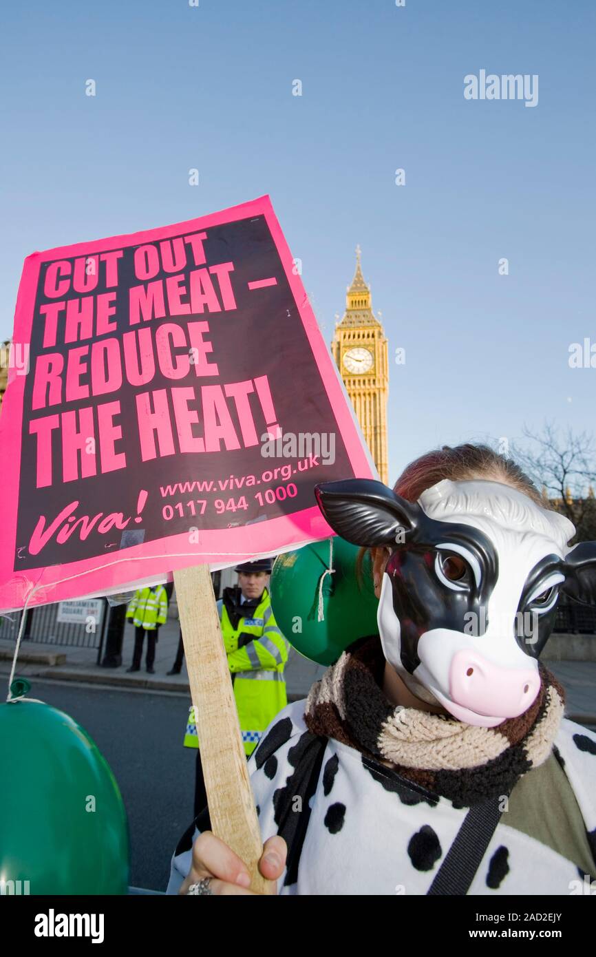 Protestors at a climate change rally in Parliament Square, London, UK ...