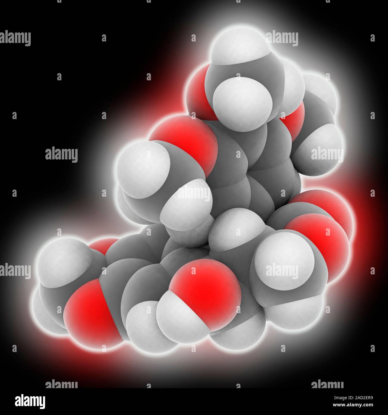 Podophyllotoxin. Molecular model of the organic compound podofillotoxin ...