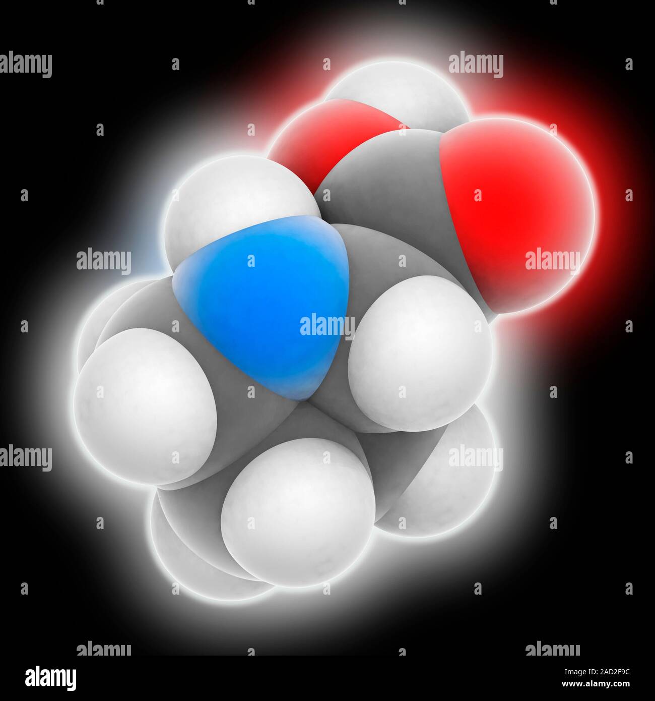 Proline. Molecular model of the non-essential alpha-amino acid proline ...