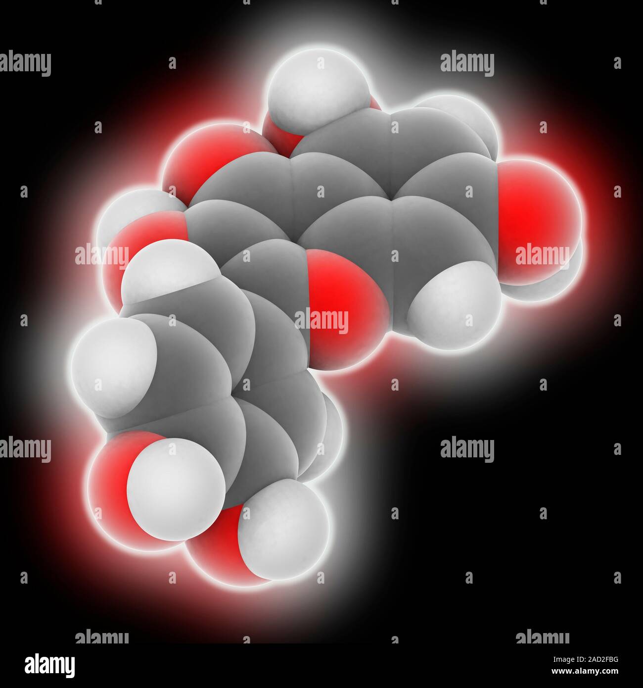 Quercetin. Molecular model of the flavonoid chemical quercetin (C15.H10 ...