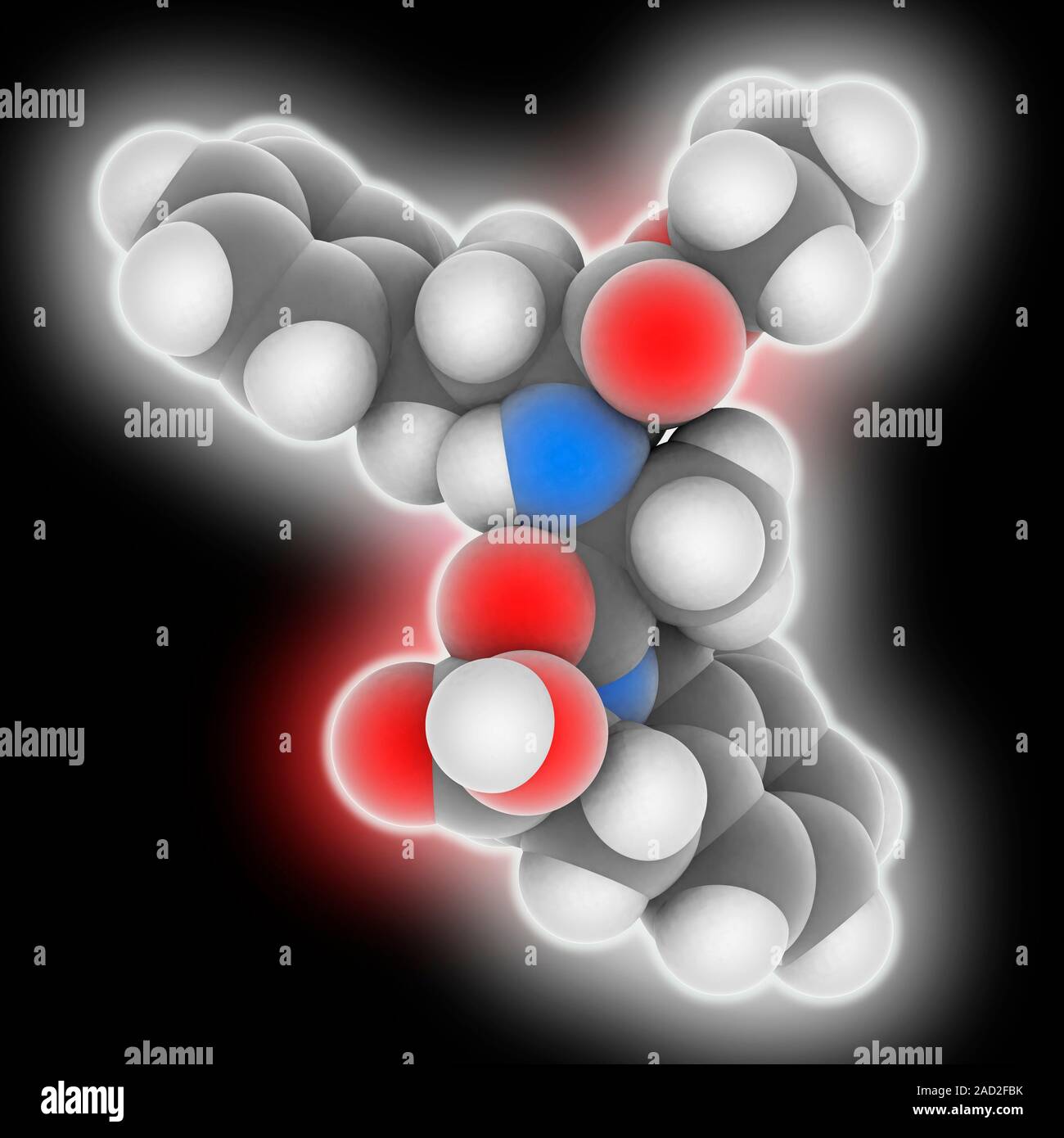 Quinapril. Molecular model of the drug quinapril (C25.H30.N2.O5), an ...