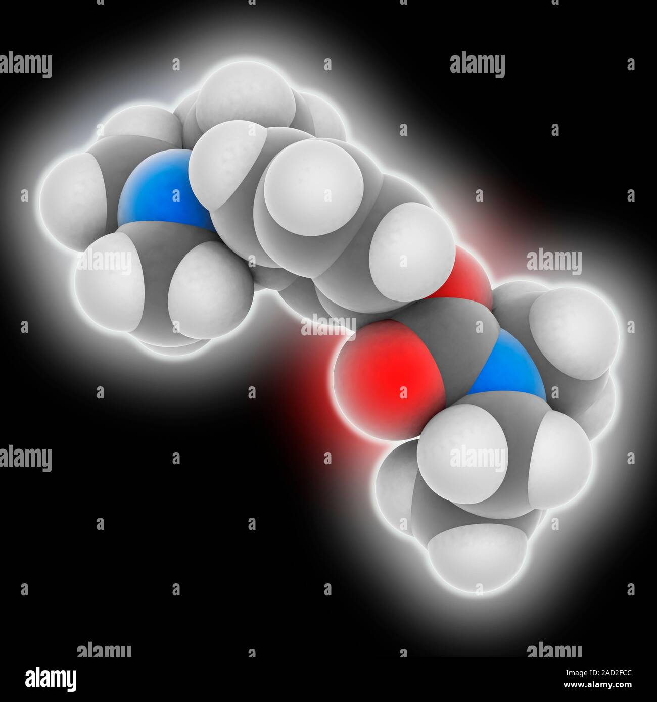 Rivastigmine. Molecular model of the drug rivastigmine (C14.H22.N2.O2 ...