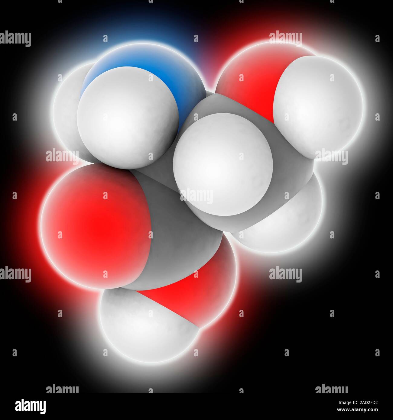 Serine. Molecular model of the non-essential amino acid serine (C3.H7.N ...