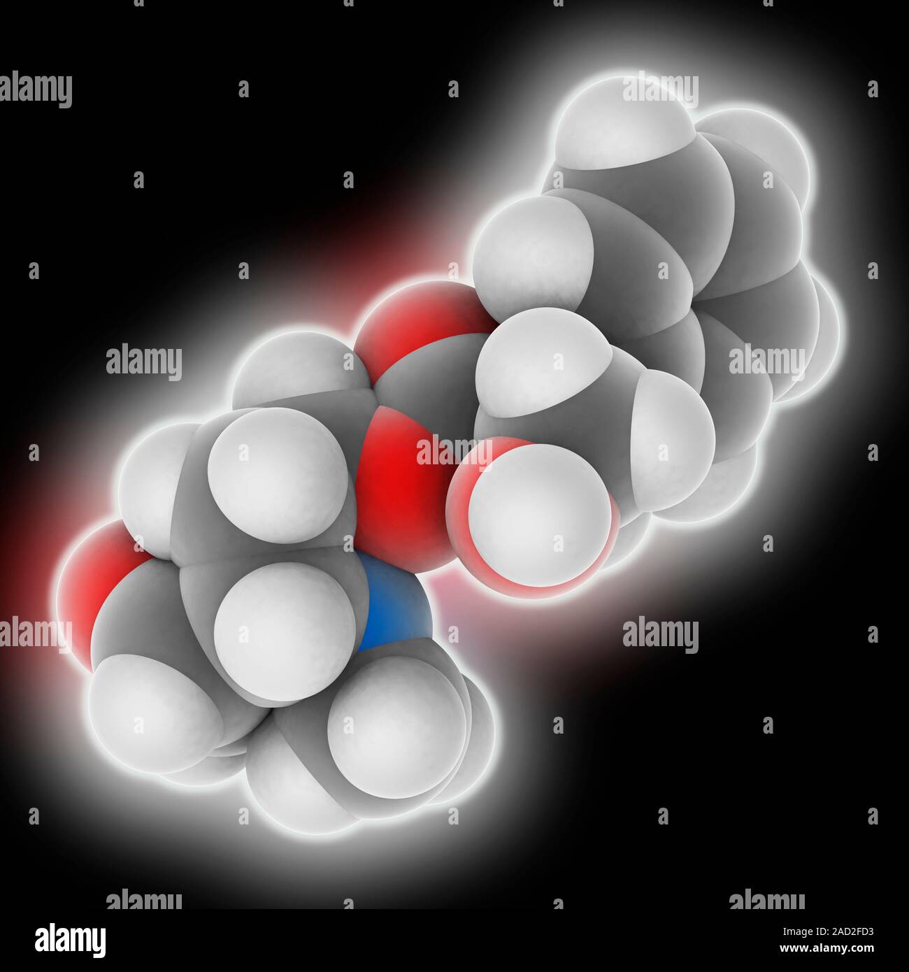Scopolamine. Molecular model of the tropane alkaloid drug scopolamine ...