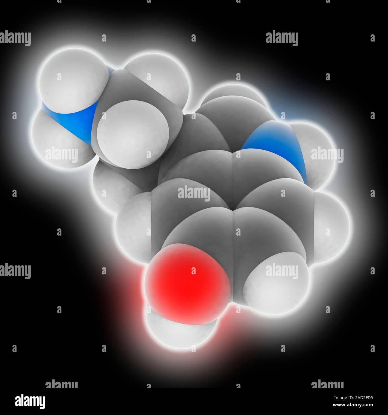 Serotonin. Molecular model of the neurotransmitter serotonin (C10.H12 ...