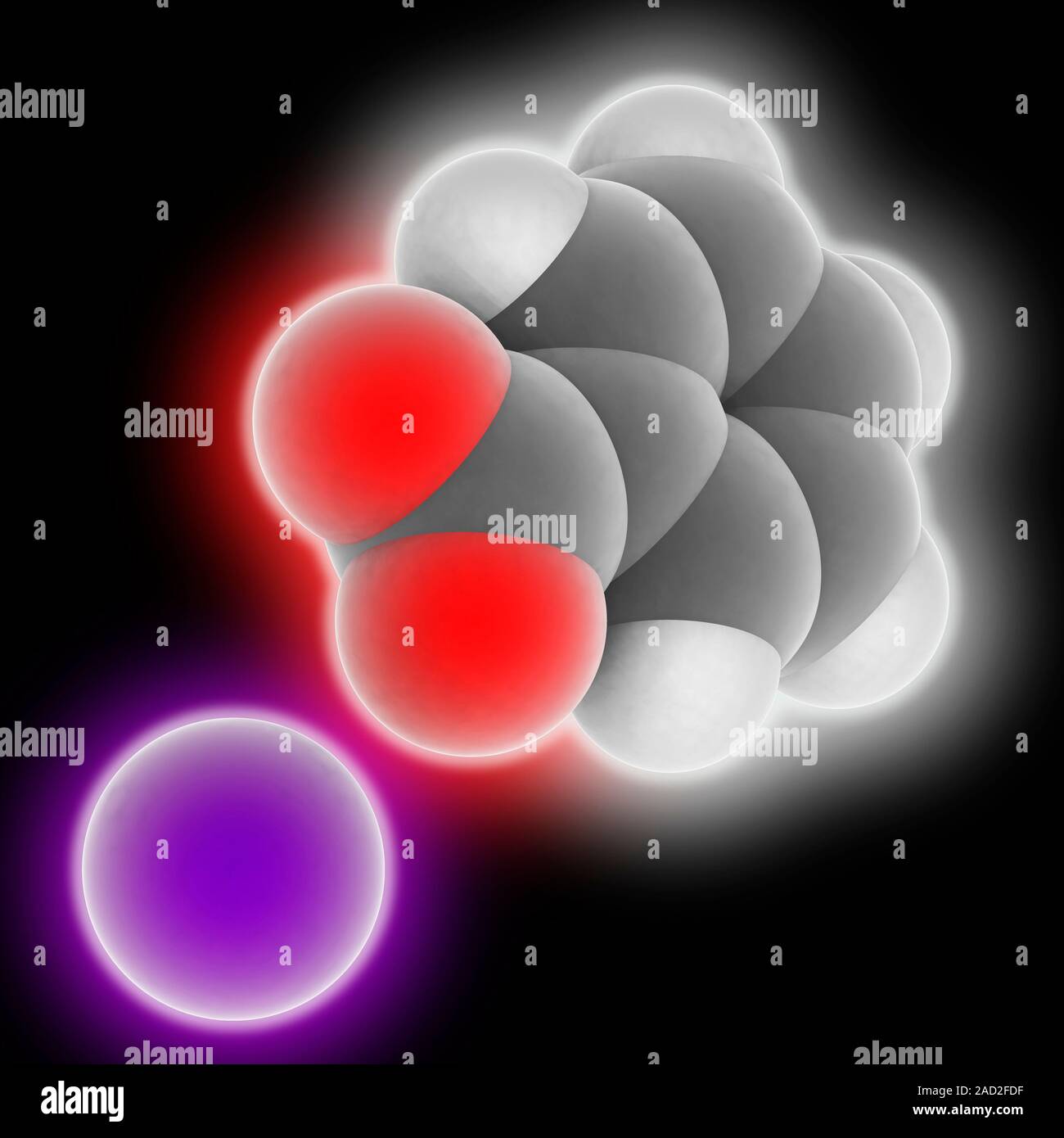 Sodium benzoate. Molecular model of sodium benzoate (C7.H5.Na.O2), the ...