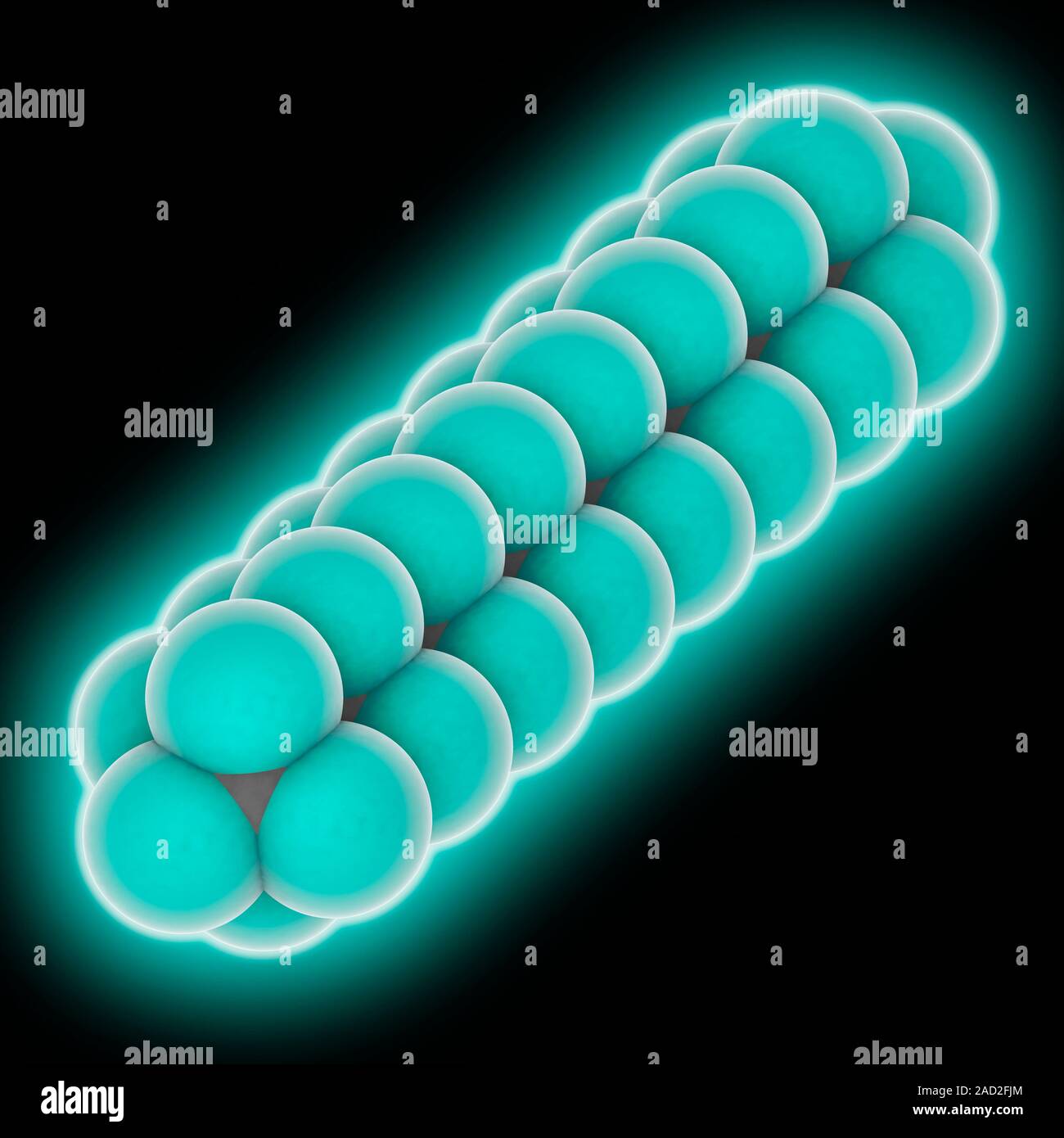 Teflon. Molecular model of part of a chain of the synthetic hydrophobic ...