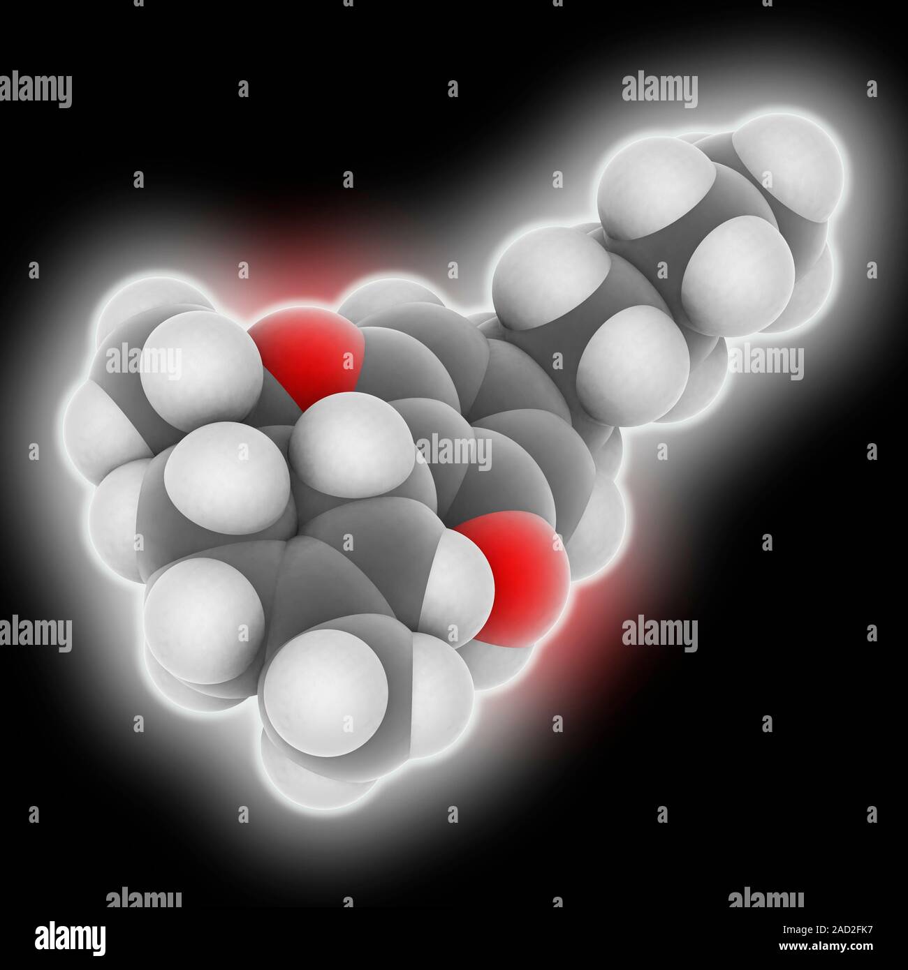 Tetrahydrocannabinol. Molecular model of tetrahydrocannabinol (THC, C21 ...
