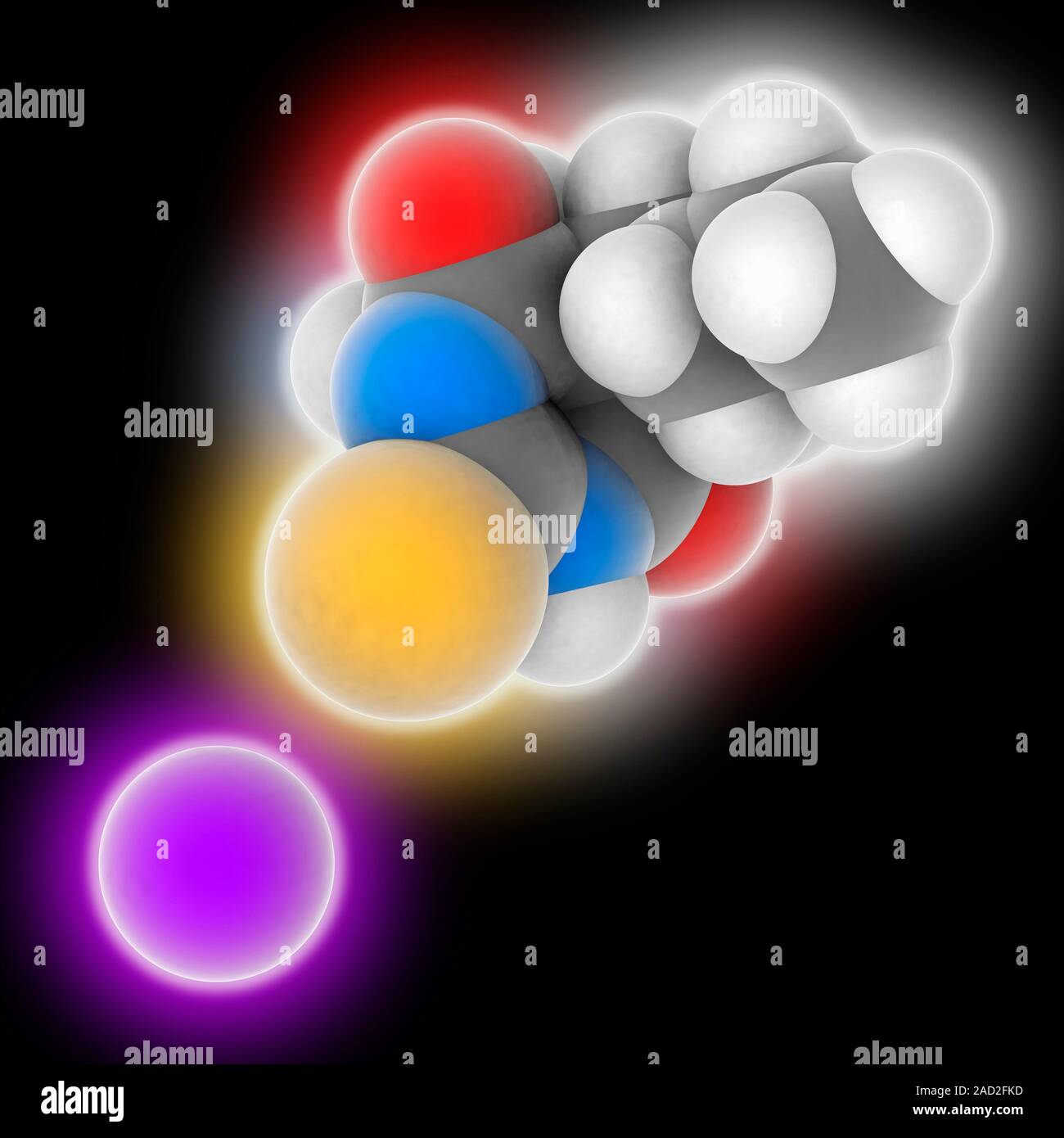 Sodium thiopental. Molecular model of the general anaesthetic drug ...