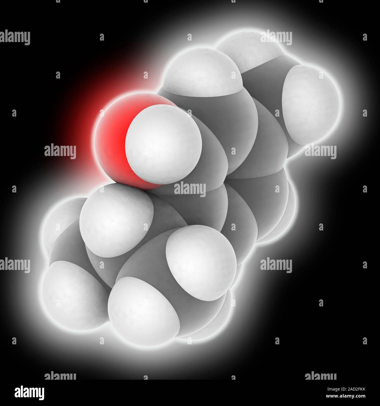 Thymol. Molecular model of thymol (C10.H14.O), a naturally occurring ...