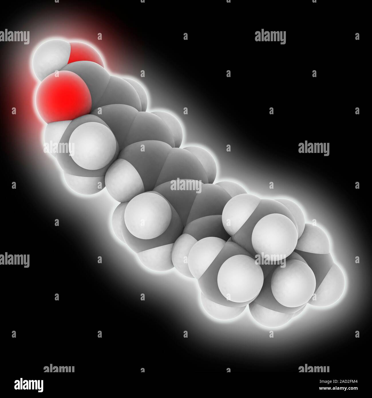 Tretinoin. Molecular model of the drug tretinoin (C20.H28.O2), an acid ...