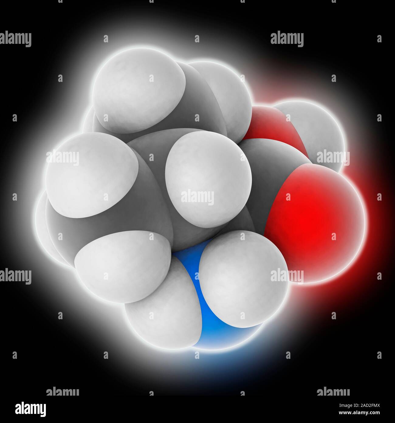 Valine. Molecular model of the essential alpha-amino acid valine (C5 ...