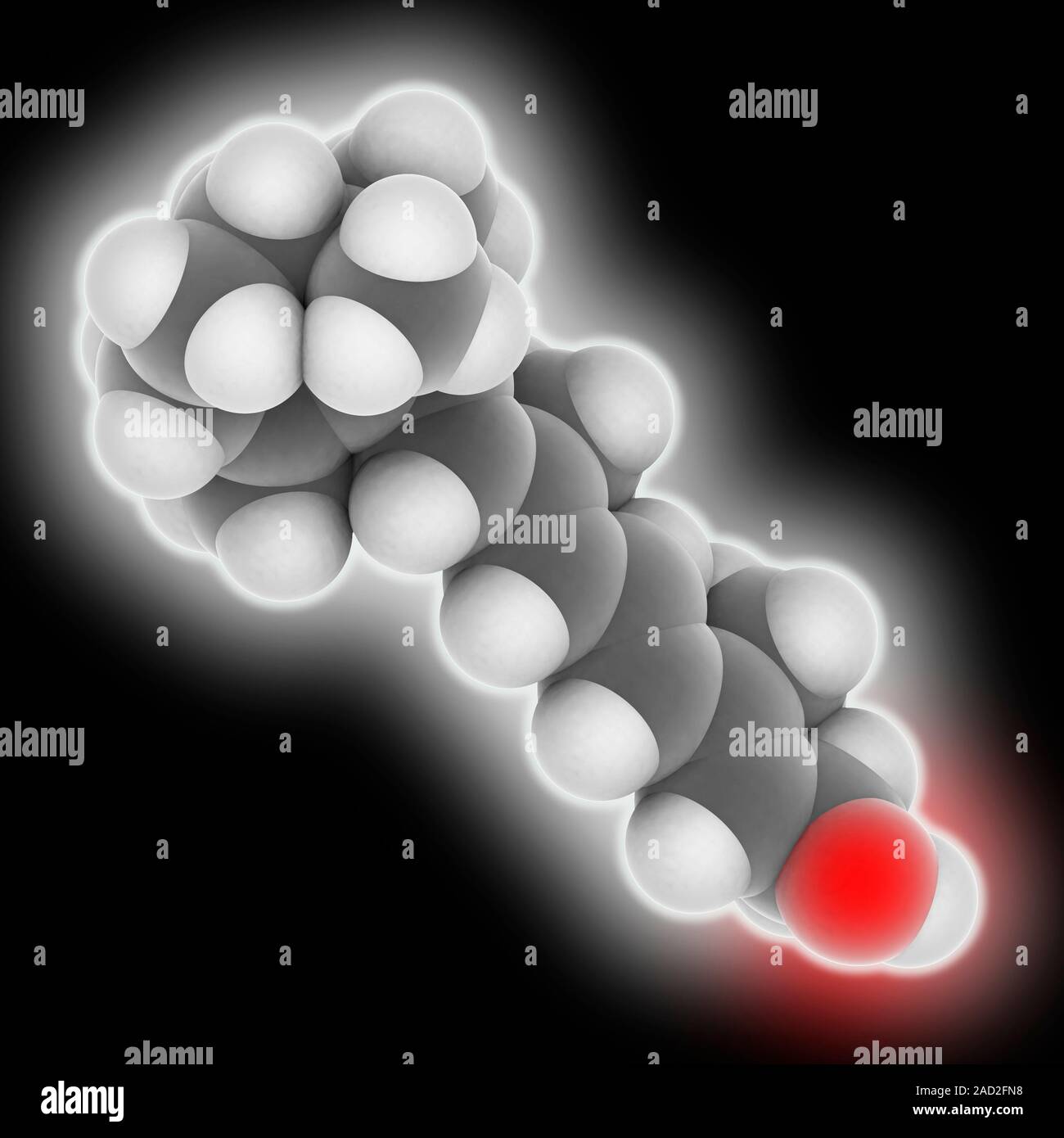 Retinol. Molecular model of the diterpenoid alcohol retinol (C20.H30.O ...