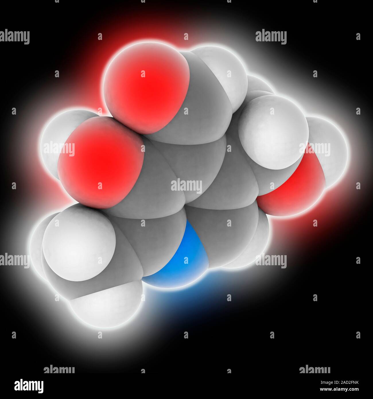 Pyridoxal. Molecular model of the pyridoxal (C8.H9.N.O3) form of ...