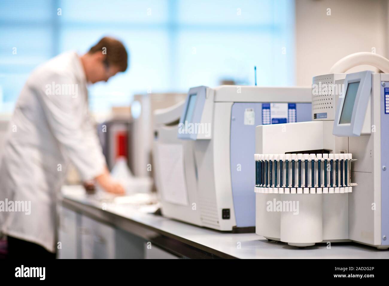 Gas chromatography analysis. Researcher with a gas chromatography ...