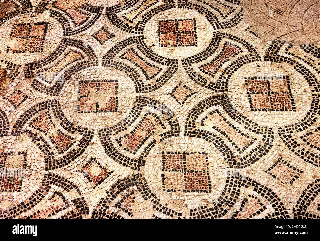 Section from one of the sequence of geometric mosaics that are a ...