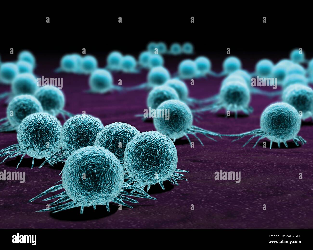 Cancer cells, computer illustration Stock Photo - Alamy