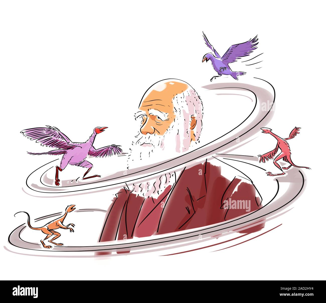 Charles Darwin (1809-1882). Illustration of the British naturalist ...