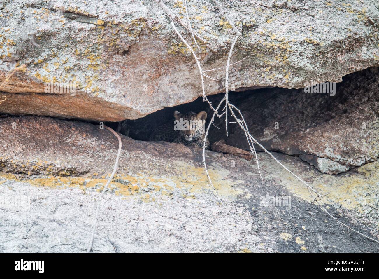 Hiding in cave hi-res stock photography and images - Alamy