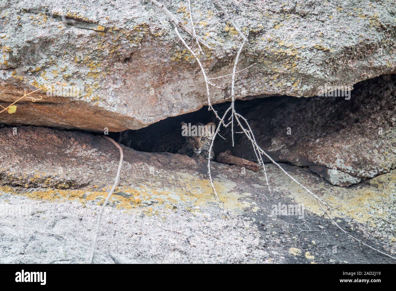 Hiding in cave hi-res stock photography and images - Alamy