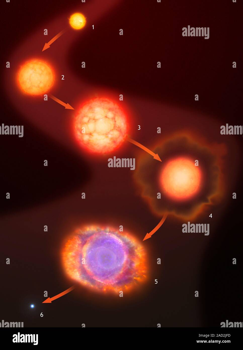 Illustration showing the life of a Sun-like-star starting from the main ...