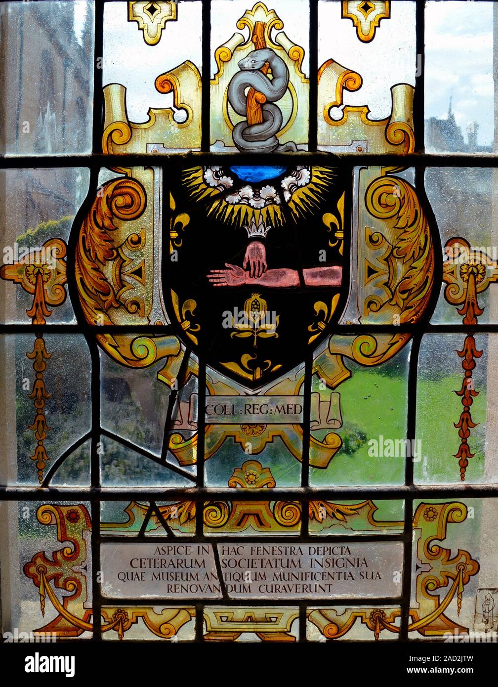 Hand measuring a pulse, depicted in a glass window at the 18th century ...