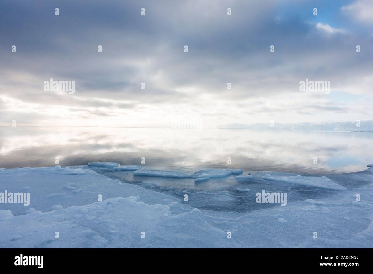Arctic sea ice formation. New ice forming in spring on coastal ice ...