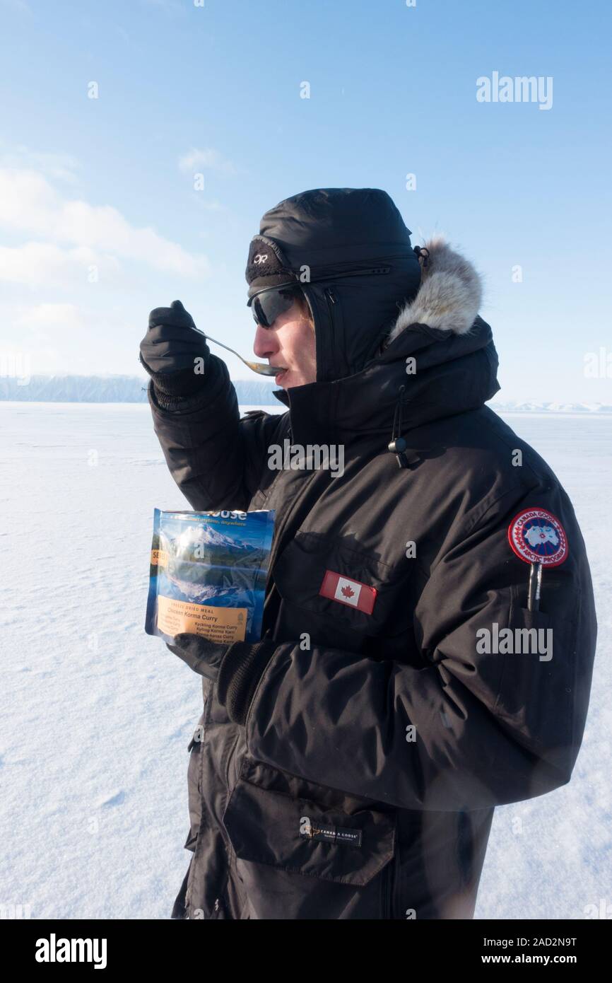 Arctic freeze-dried meal. Arctic traveller eating a freeze-dried meal ...