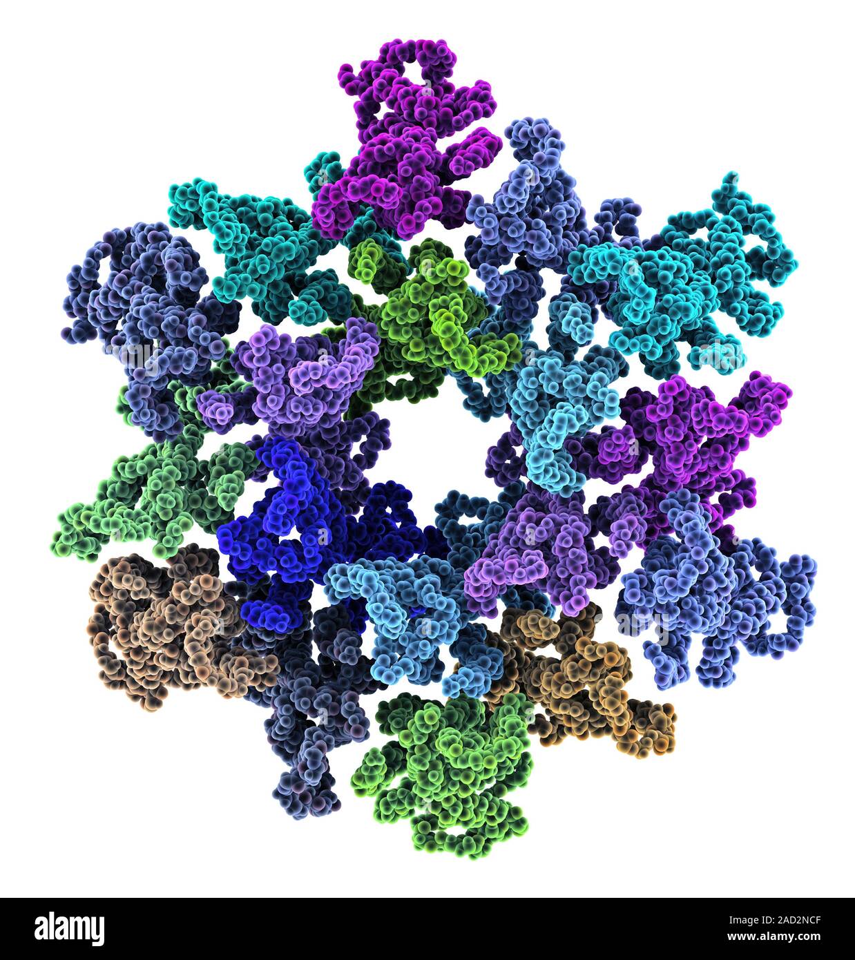 Frontal view of a molecular representation of an immature human immunodeficiency virus type 1 ...