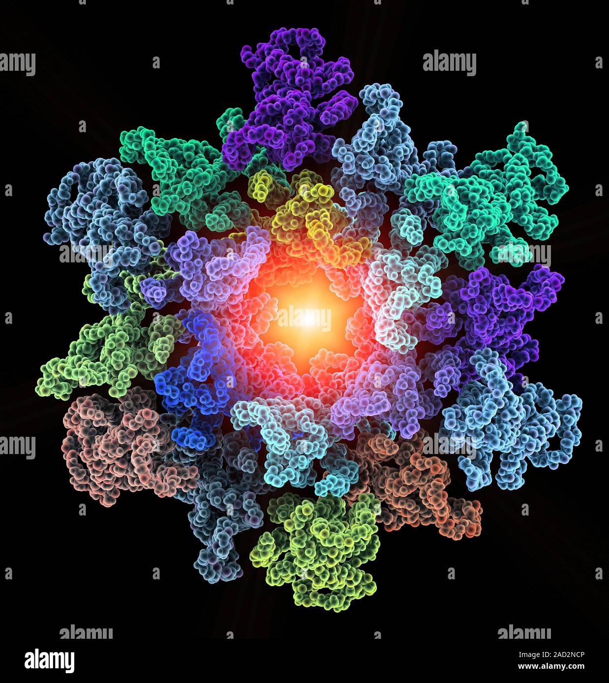 Frontal view of a molecular representation of an immature human immunodeficiency virus type 1 ...