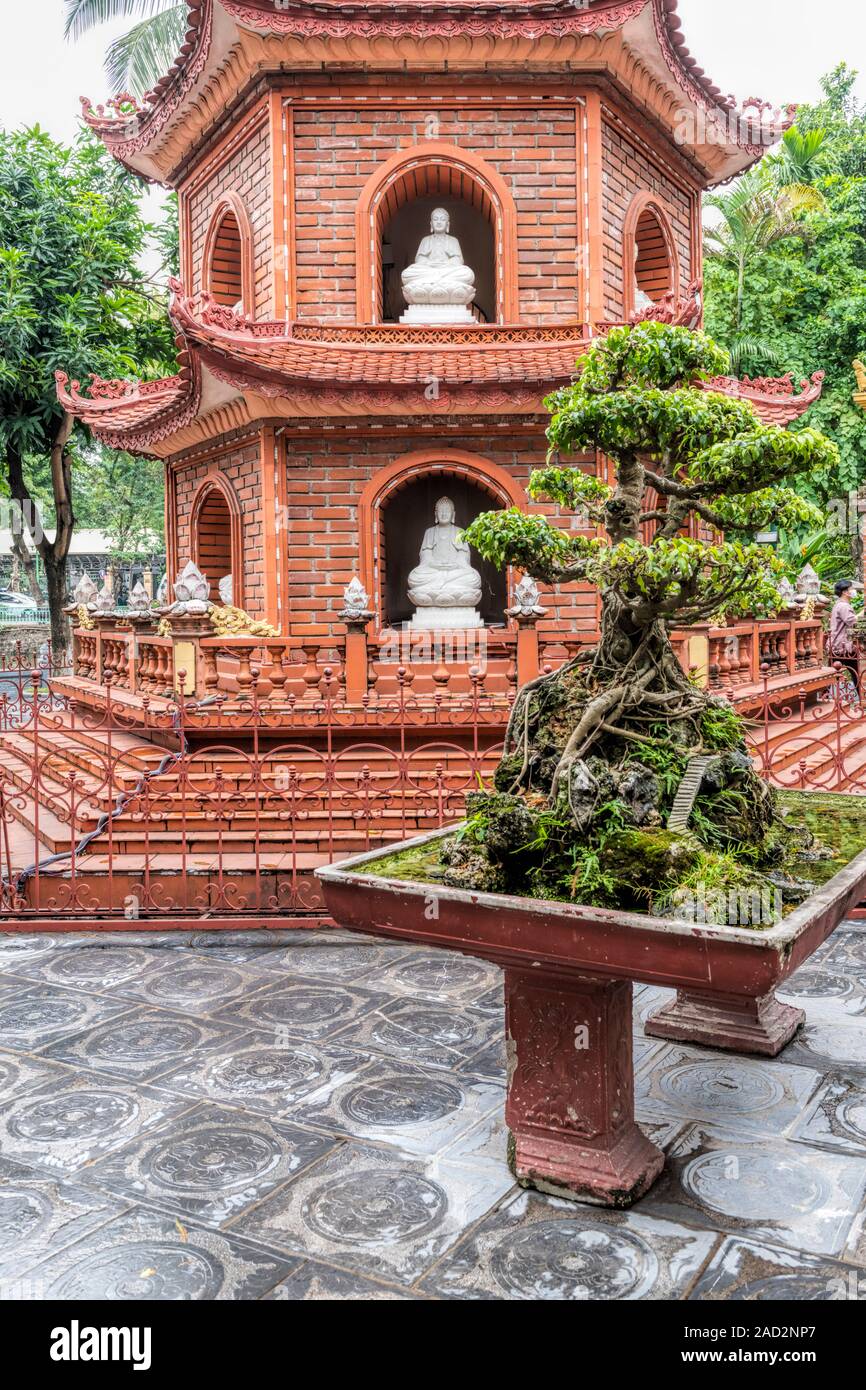 Tran Quoc Pagoda Hanoi Vietnam and large bonsai trees Stock Photo - Alamy
