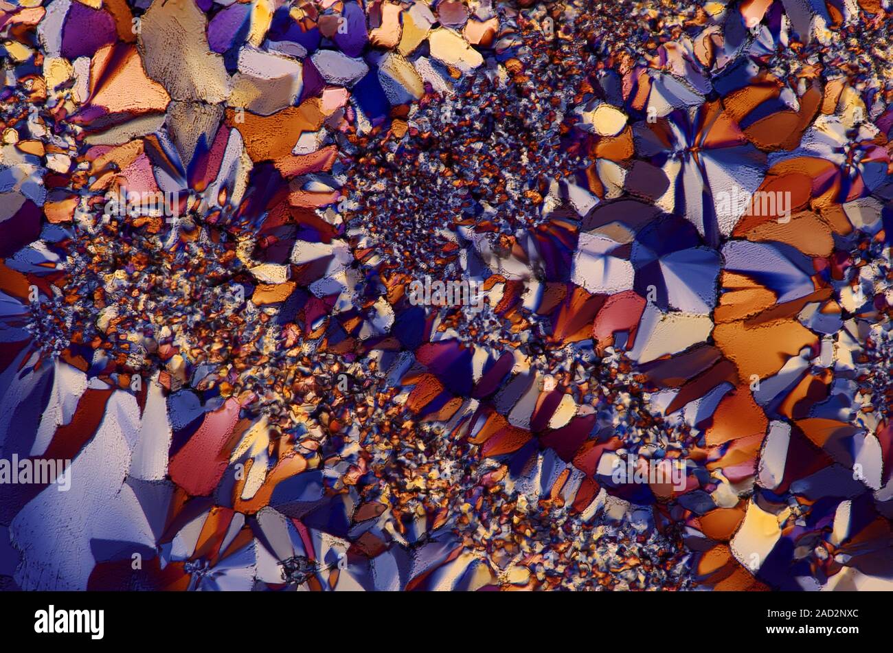 Citric acid crystals. Polarized light micrograph of a section through ...