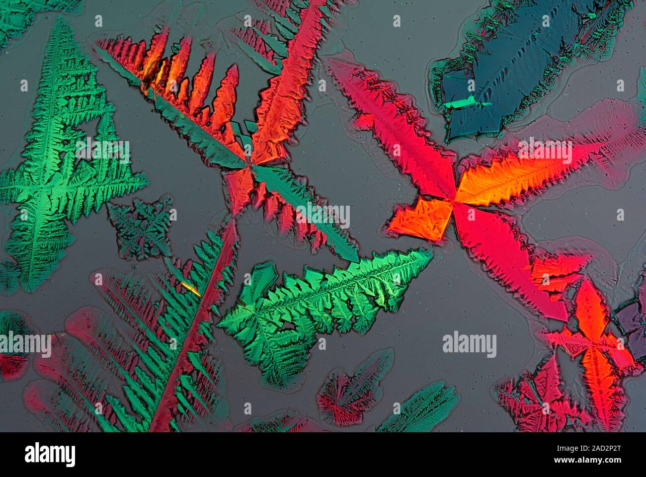 Copper sulphate crystals. Polarized light micrograph of a section ...
