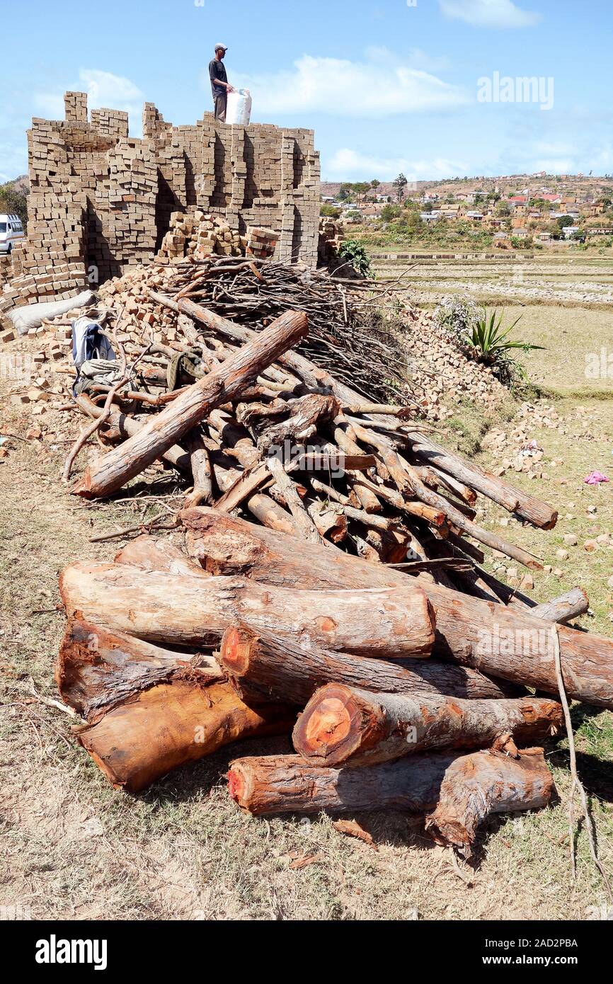 Log pile and brick kiln. Photographed in Madagascar, on the outskirts ...