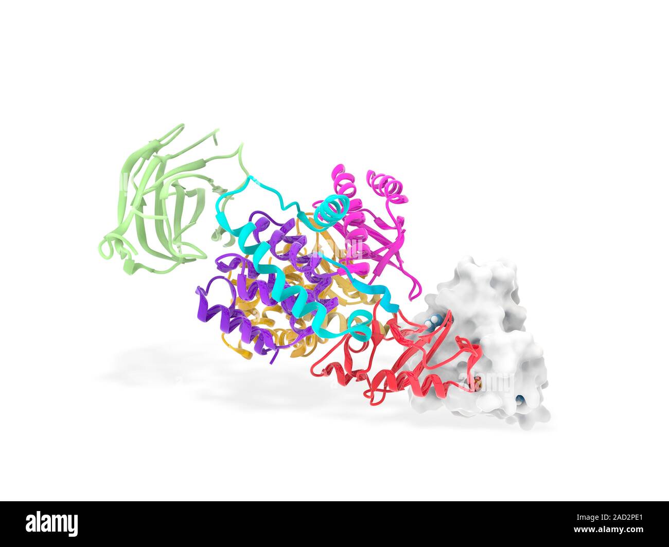 K Ras Pi3k Complex Computer Model Showing The Structure Of A Molecule Of The K Ras Oncogene
