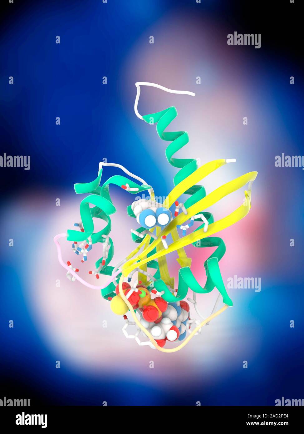 K Ras Benzamidine And Gtp Complex Computer Model Showing The Structure Of A Molecule Of The K