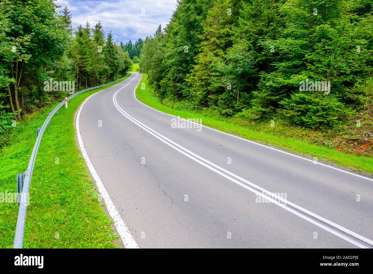 Winding Asphalt road in green forest Stock Photo - Alamy