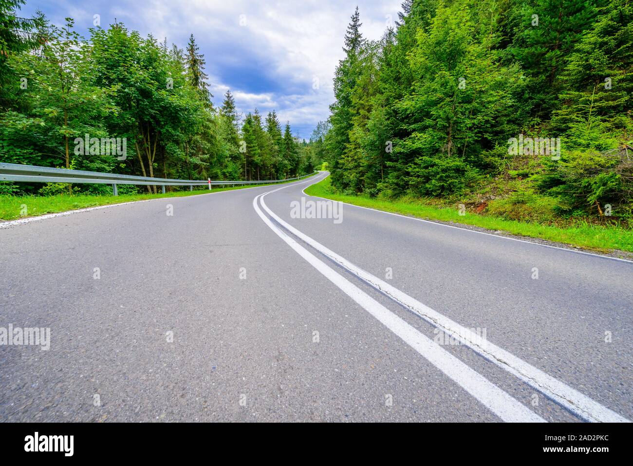 Winding Asphalt road in green forest Stock Photo - Alamy