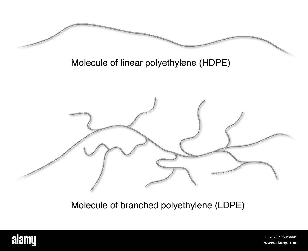 Branched and linear polyethylene. Computer illustration representing ...