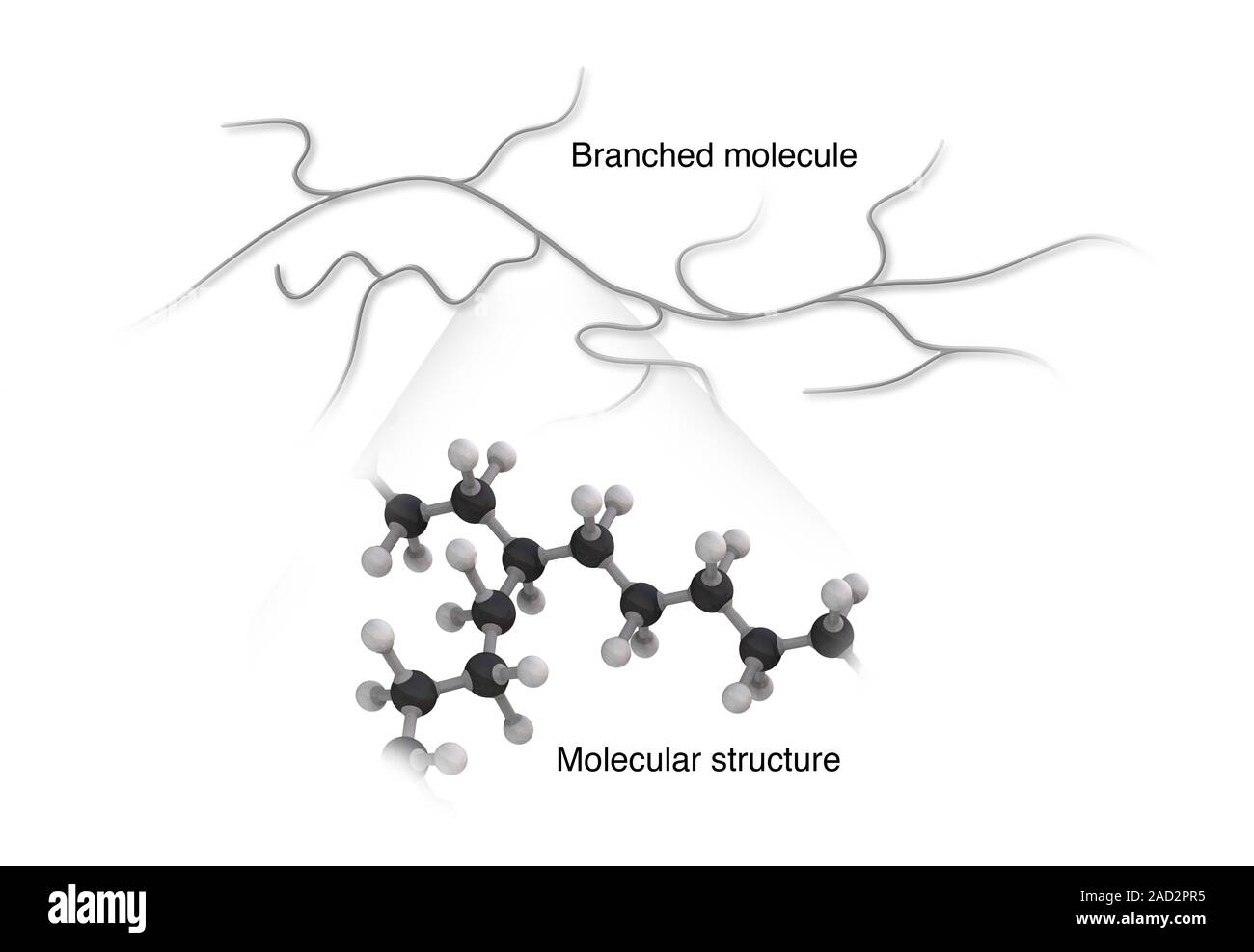Branched molecule. Computer illustration representing the arrangement ...