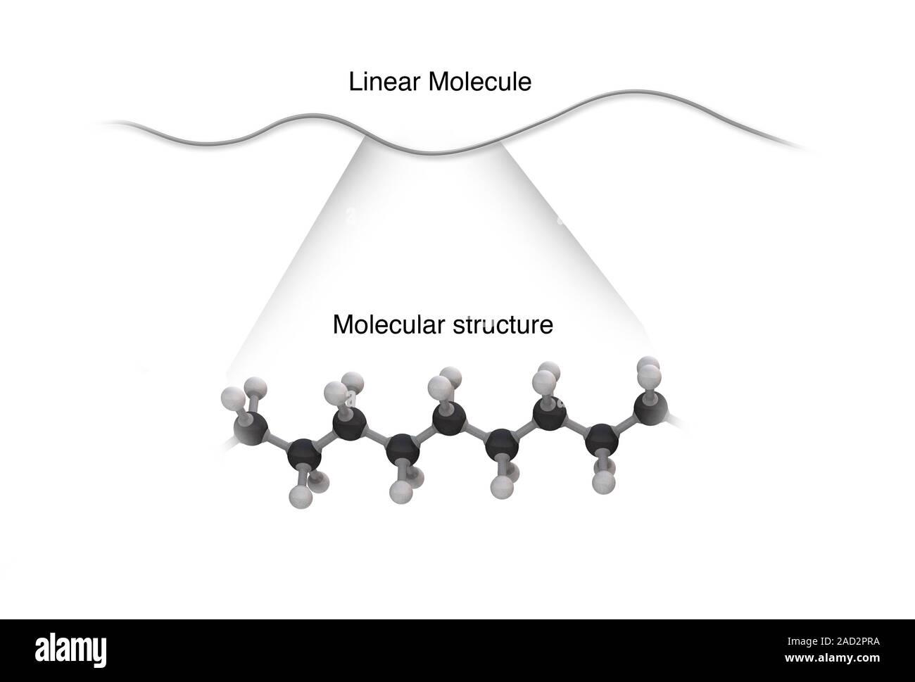 Linear molecule. Computer illustration representing the arrangement of ...